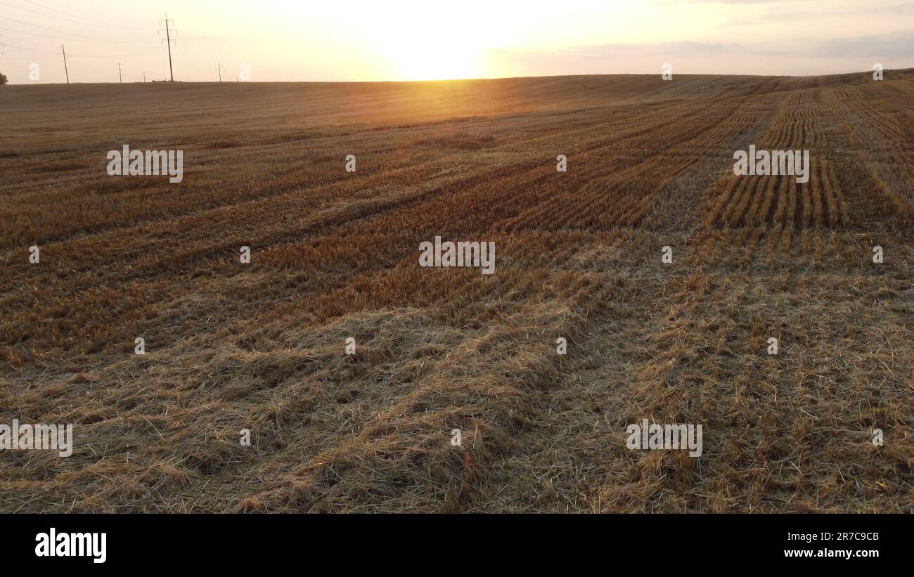 Setting sun on field hi-res stock photography and images - Alamy