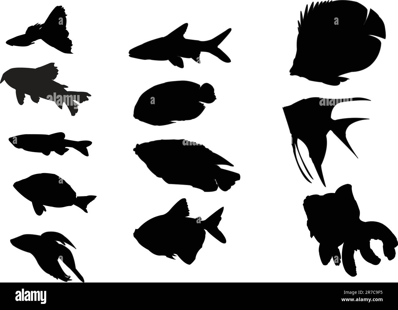 Aquarium of the pacific coral reef Cut Out Stock Images & Pictures - Alamy