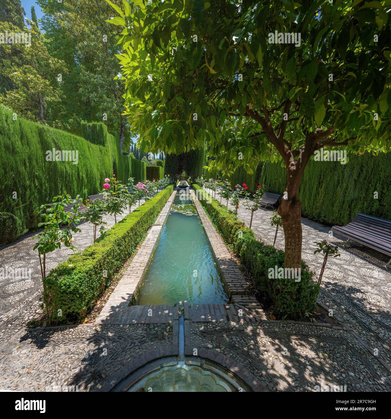 New palace gardens hi-res stock photography and images - Alamy