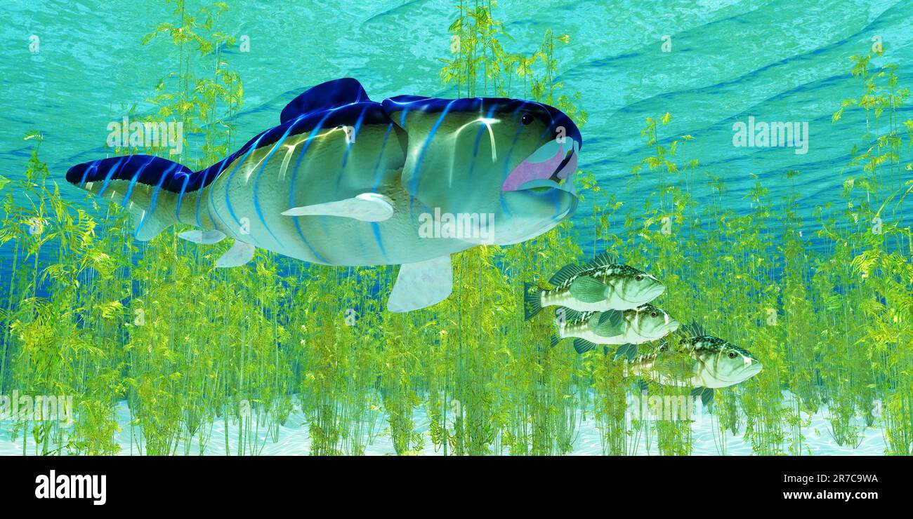 Dunkleosteus was a carnivorous placoderm fish that lived in the seas of ...