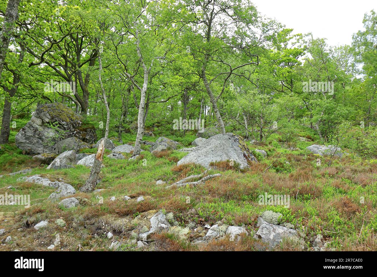 Rural paradis hi-res stock photography and images - Alamy
