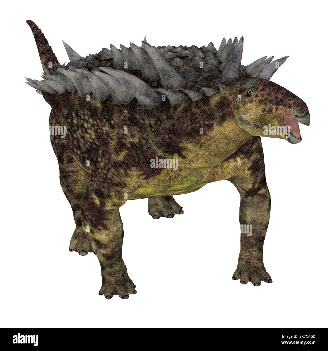 Ankylosaur Cut Out Stock Images & Pictures - Alamy