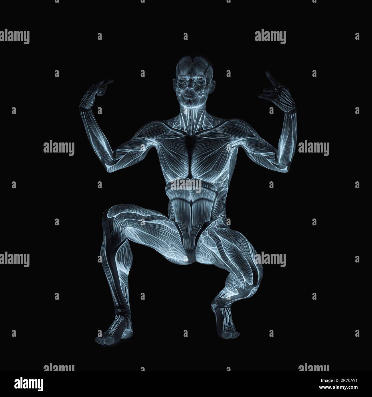 average man muscle maps is crouched but with style, 3d illustration ...