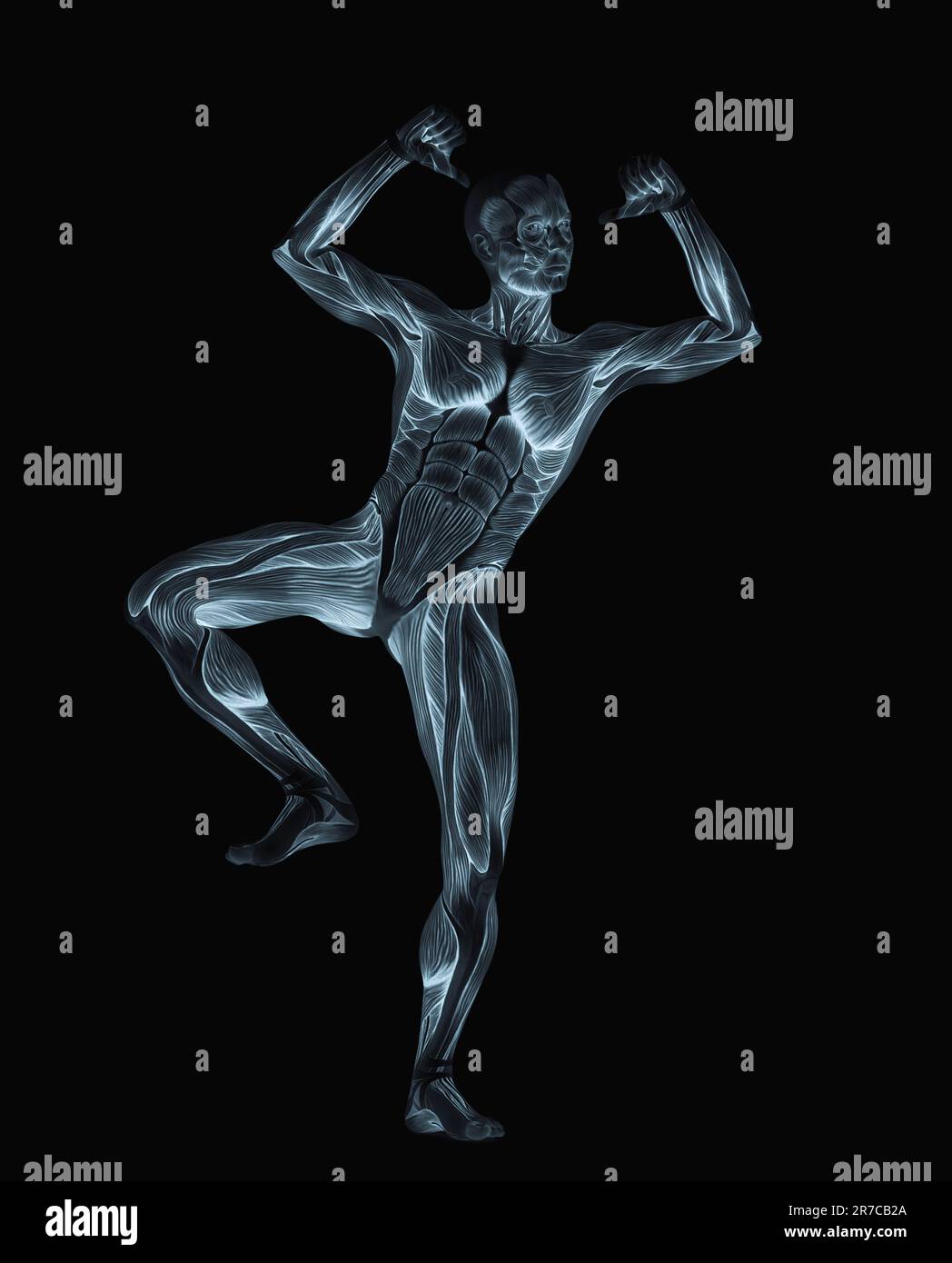 average man muscle maps is doing a cool hiphop pose, 3d illustration ...