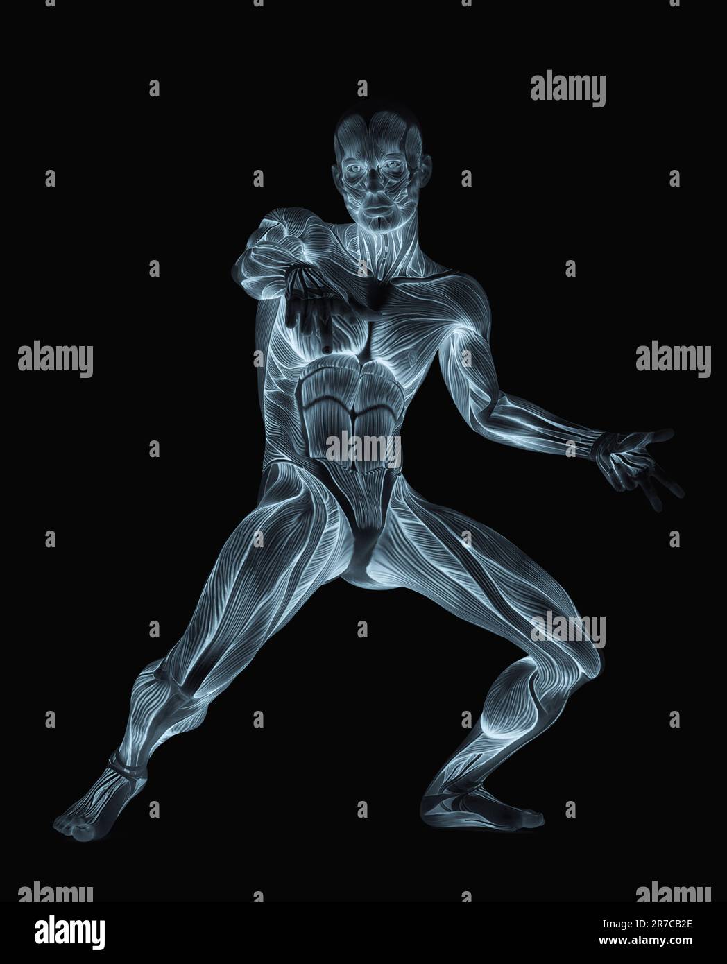 average man muscle maps is doing a hiphop dance front view, 3d ...