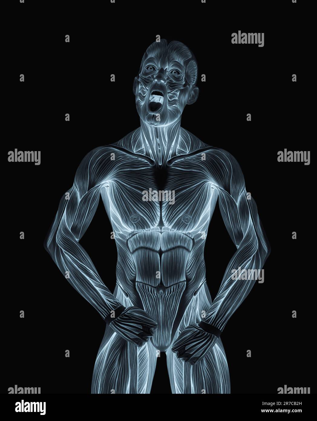 average man muscle maps is so angry, 3d illustration Stock Photo - Alamy