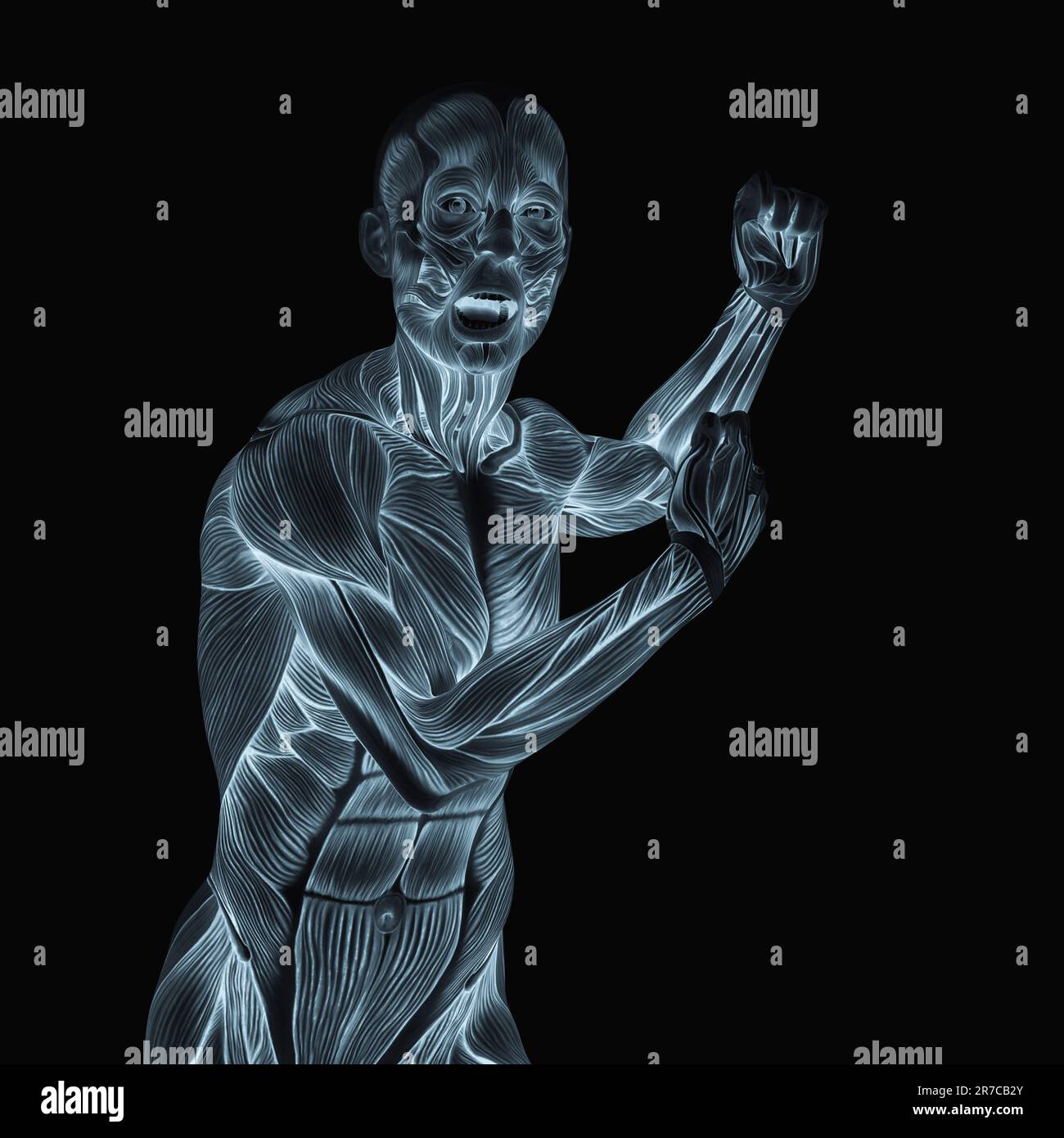 average man muscle maps is dancing and doing funny face, 3d ...