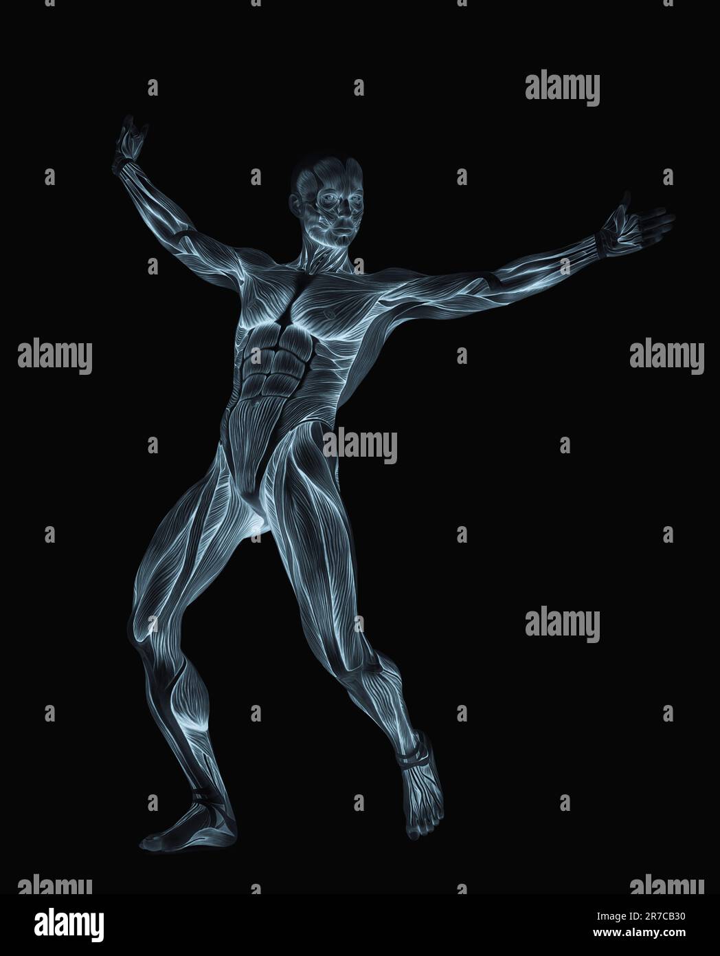 average man muscle maps is doing a free hiphop dance, 3d illustration ...