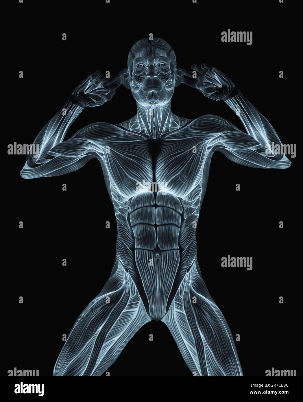 average man muscle maps is doing an i do not care pose, 3d illustration ...