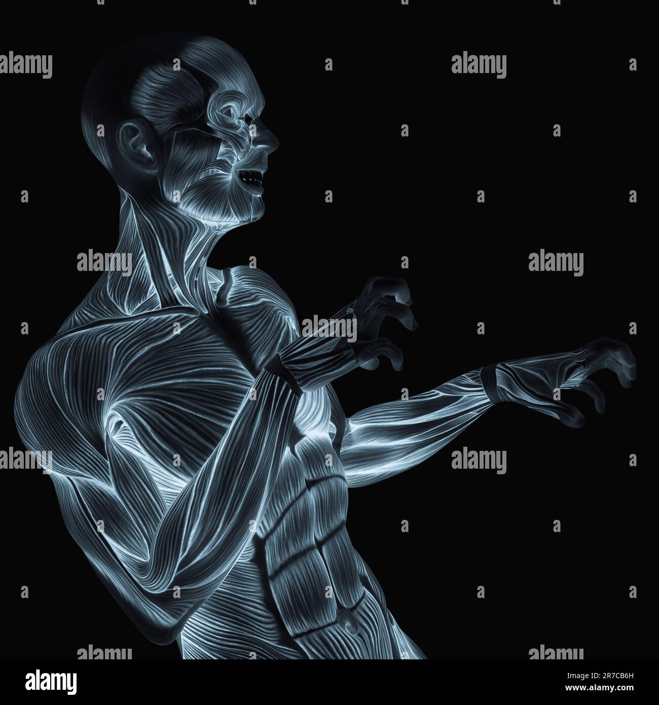 average man muscle maps is doing a halloween pose close up view, 3d ...