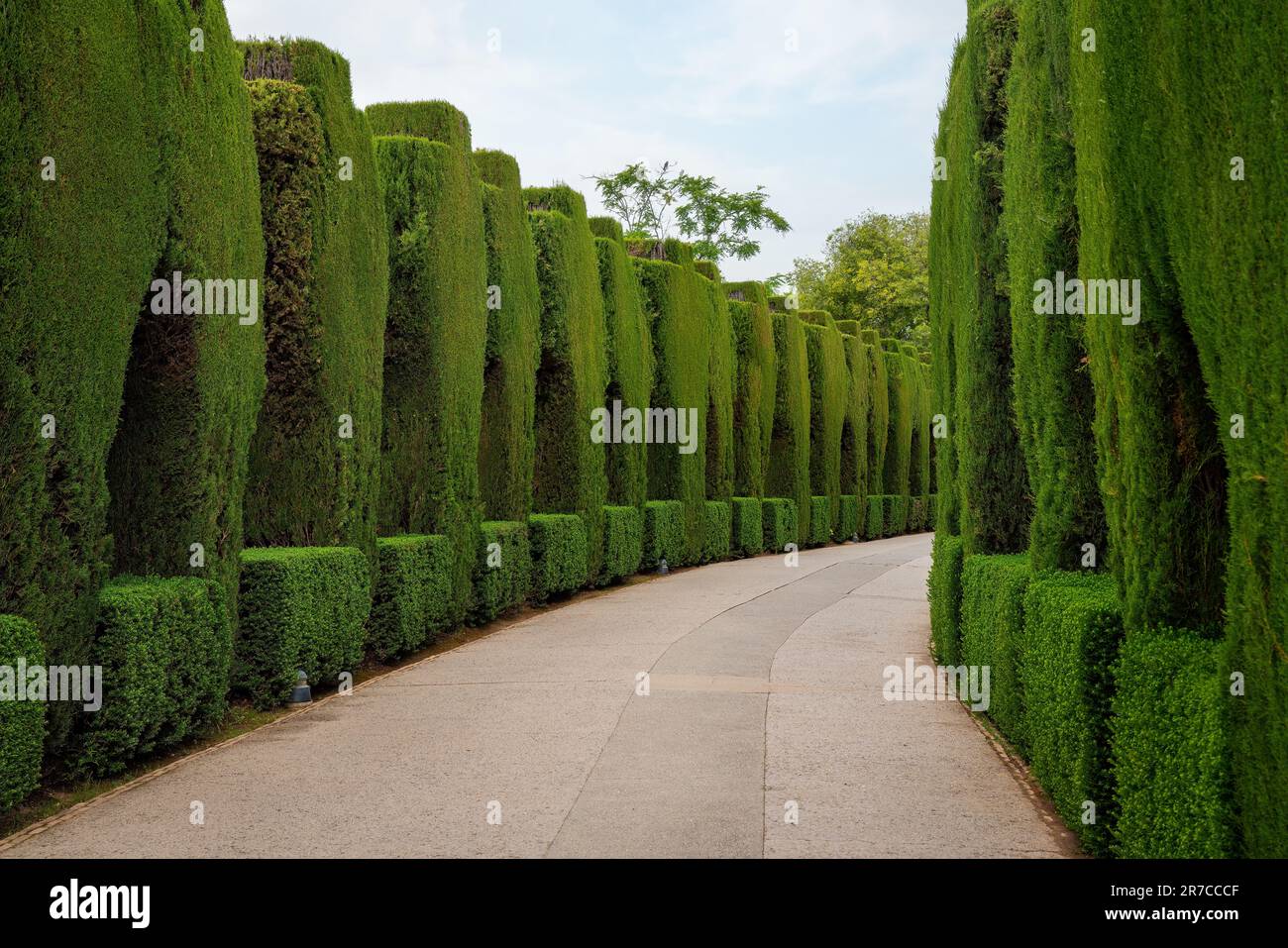 Green Corridor of San Francisco Gardens at Alhambra - Granada ...