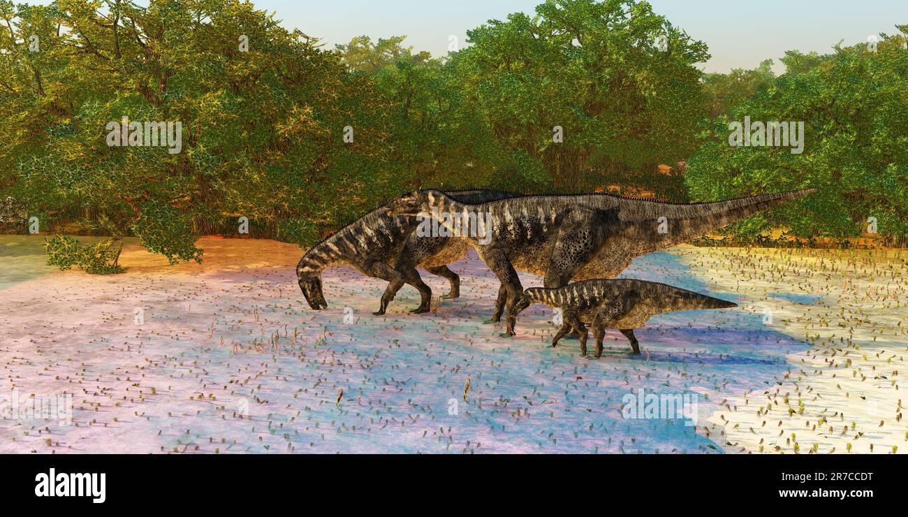 Iguanodon was a herbivorous ornithopod dinosaur that lived in Europe during the Cretaceous ...