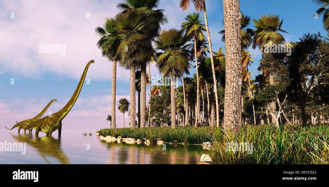 Mamenchisaurus hochuanensis was a Titanosaur sauropod that lived in ...