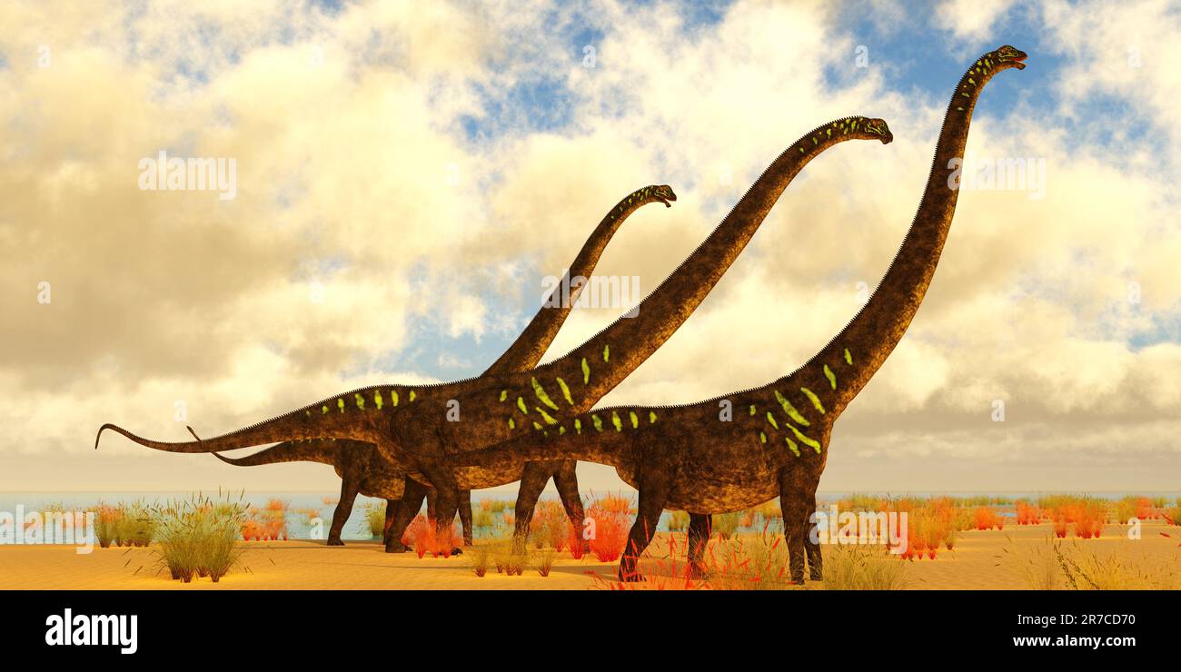 Yangchuanosaurus Vs Mamenchisaurus