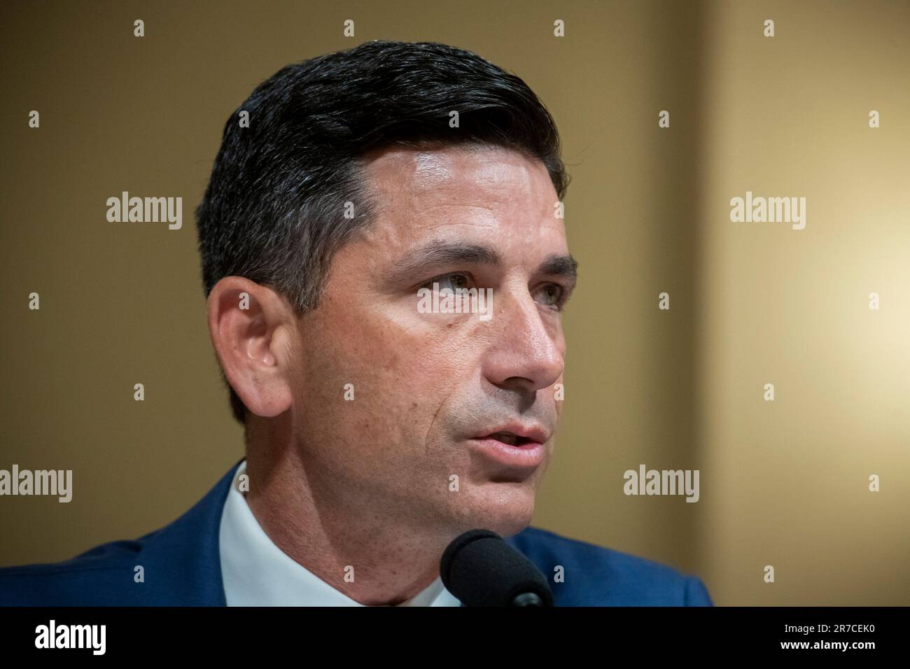 Chad wolf border hi-res stock photography and images - Alamy