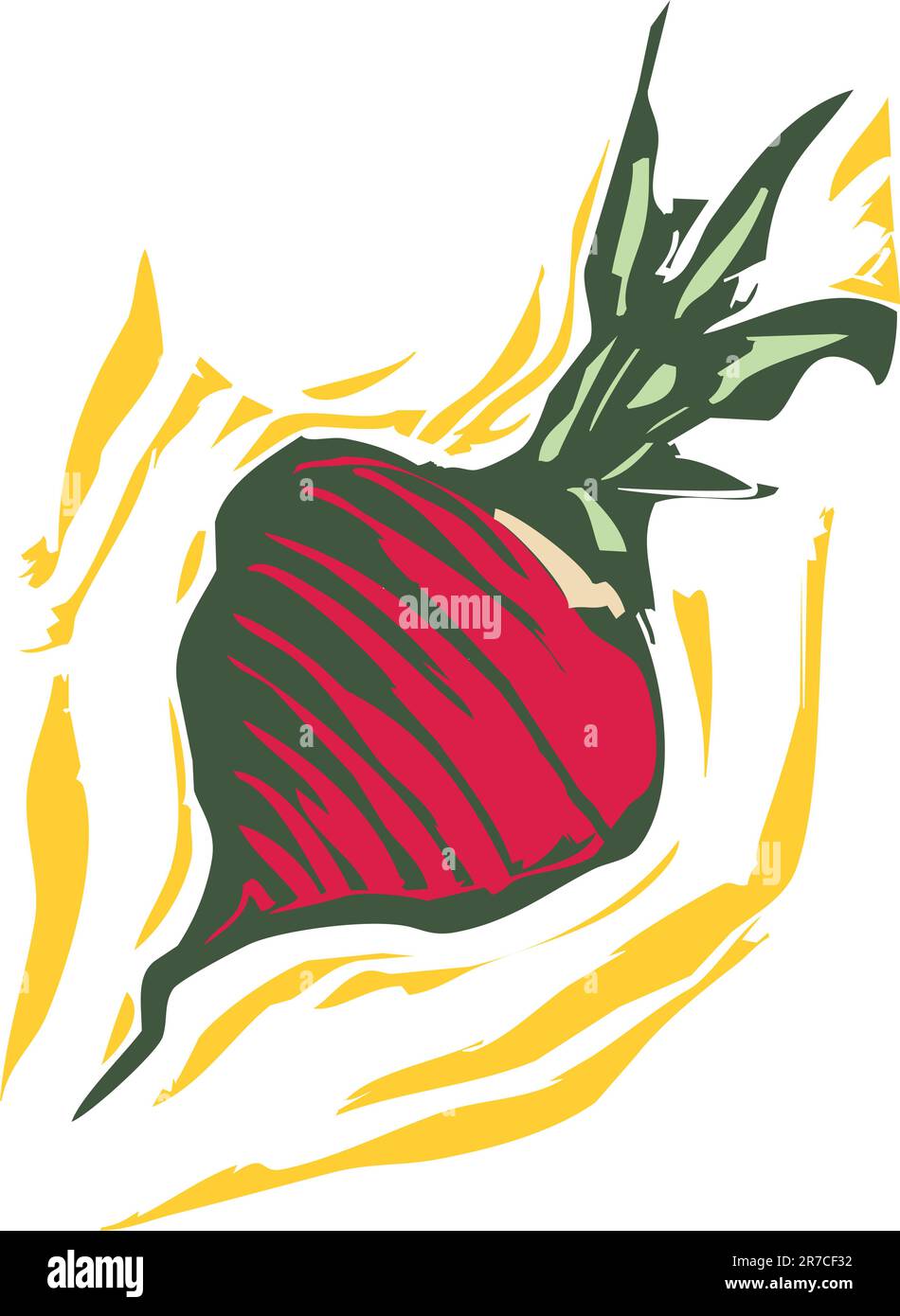 Turnip picture Stock Vector Images - Alamy