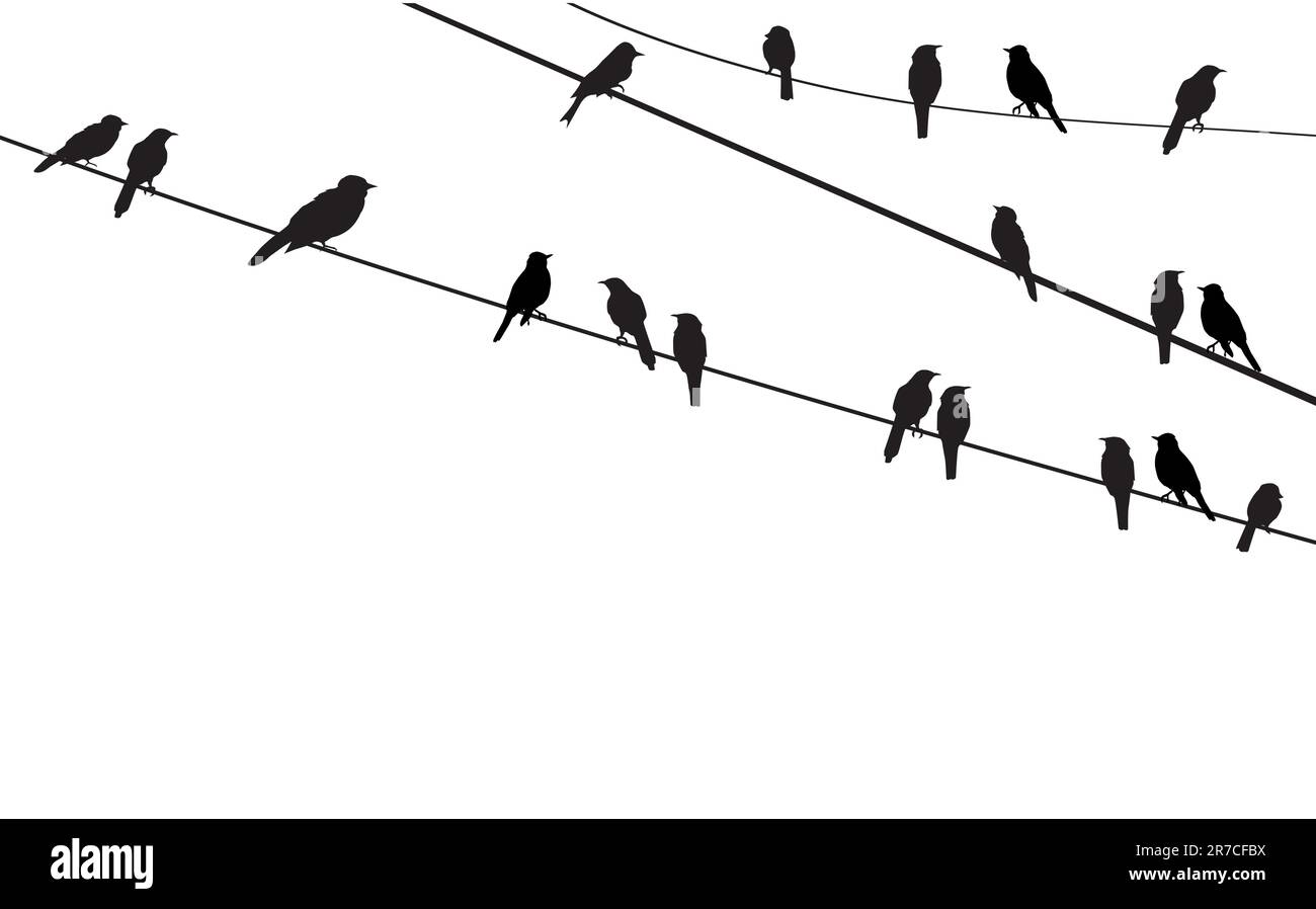 Birds heat Black and White Stock Photos & Images - Alamy