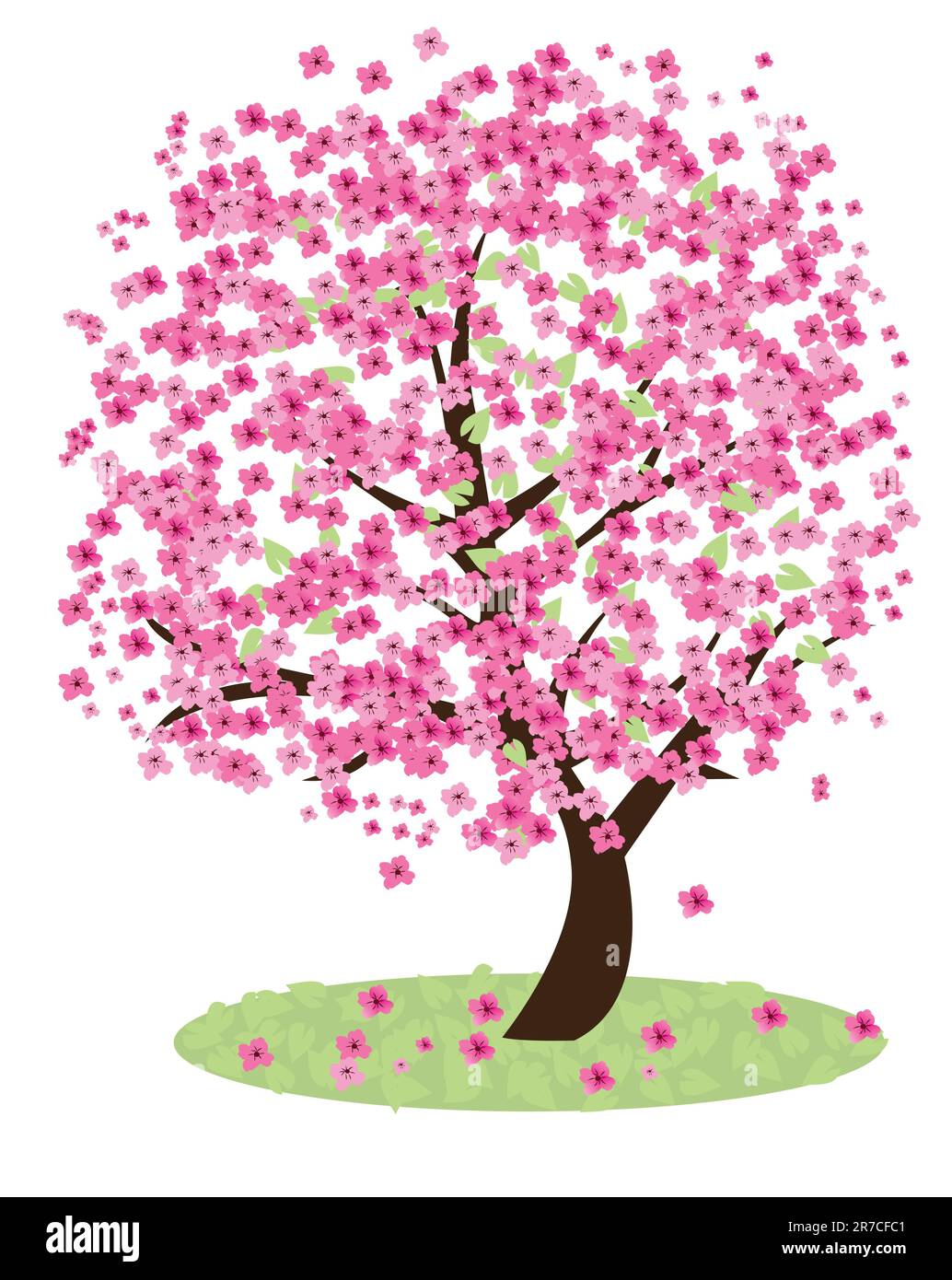 Vector illustration of cherry tree in blossom Stock Vector Image & Art ...