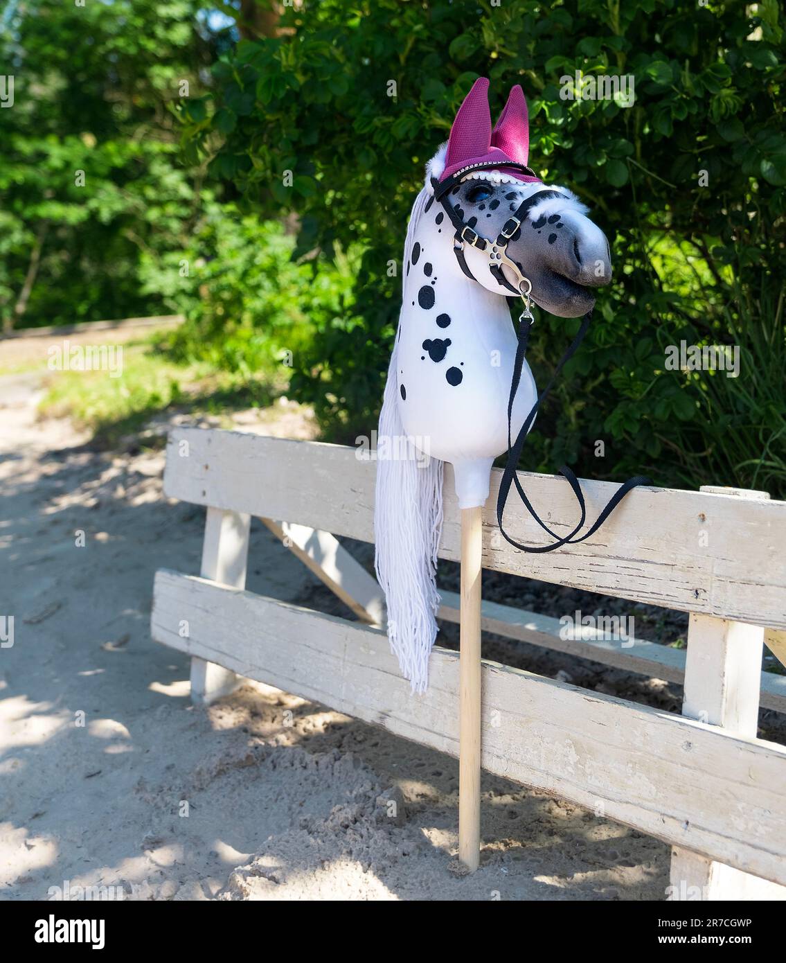 Stick Horse Photography Poster, Print Funny Hobby Horse Kids Toy