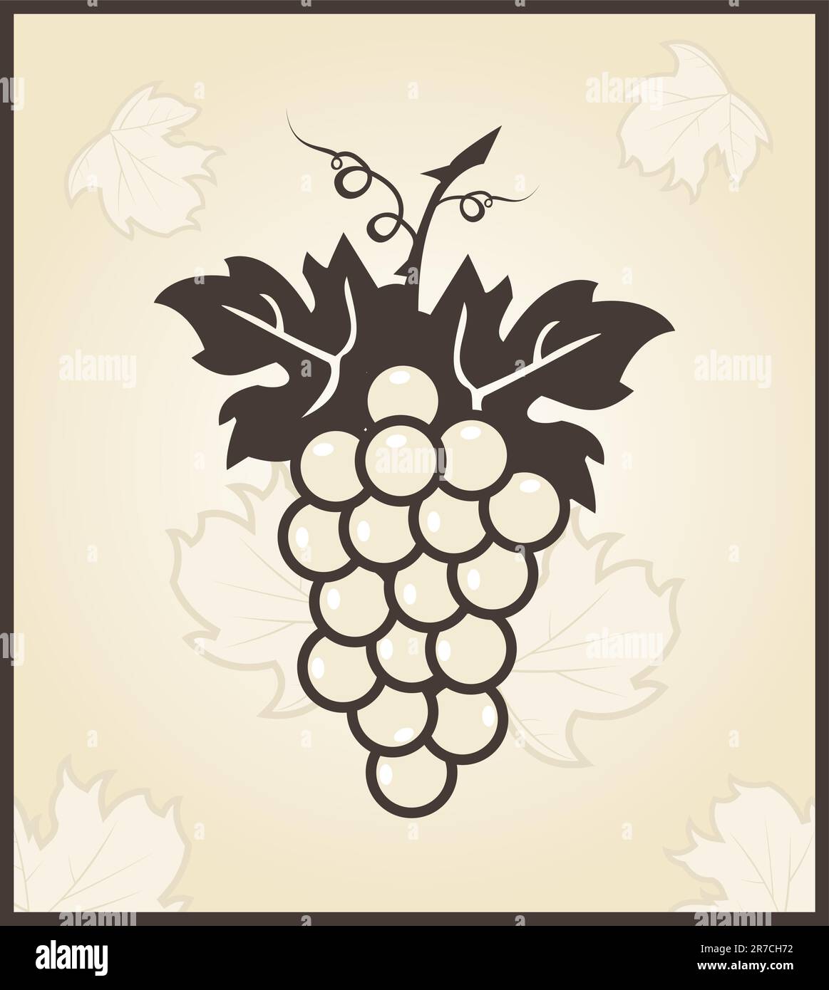Illustration retro engraving of grapevine - vector Stock Vector Image ...