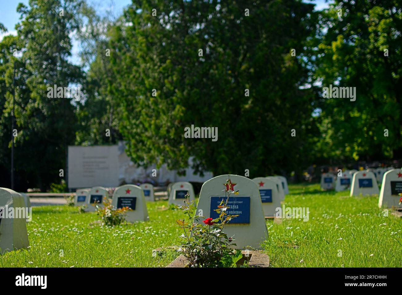 Tombstones of Red Army soldiers. Buried in April 1945, while fighting ...
