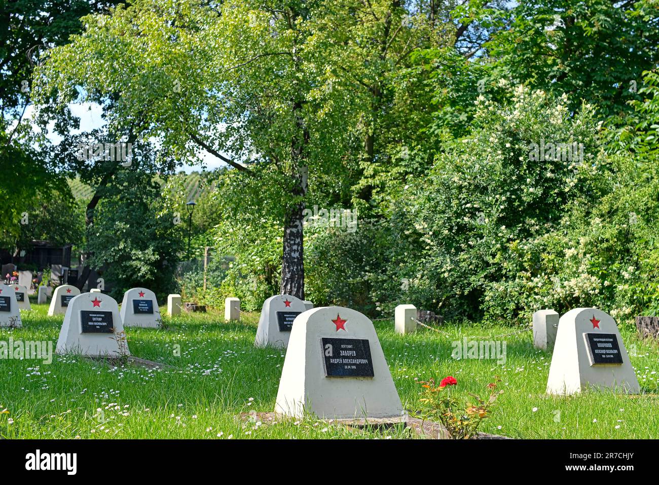 Tombstones of Red Army soldiers. Buried in April 1945, while fighting ...
