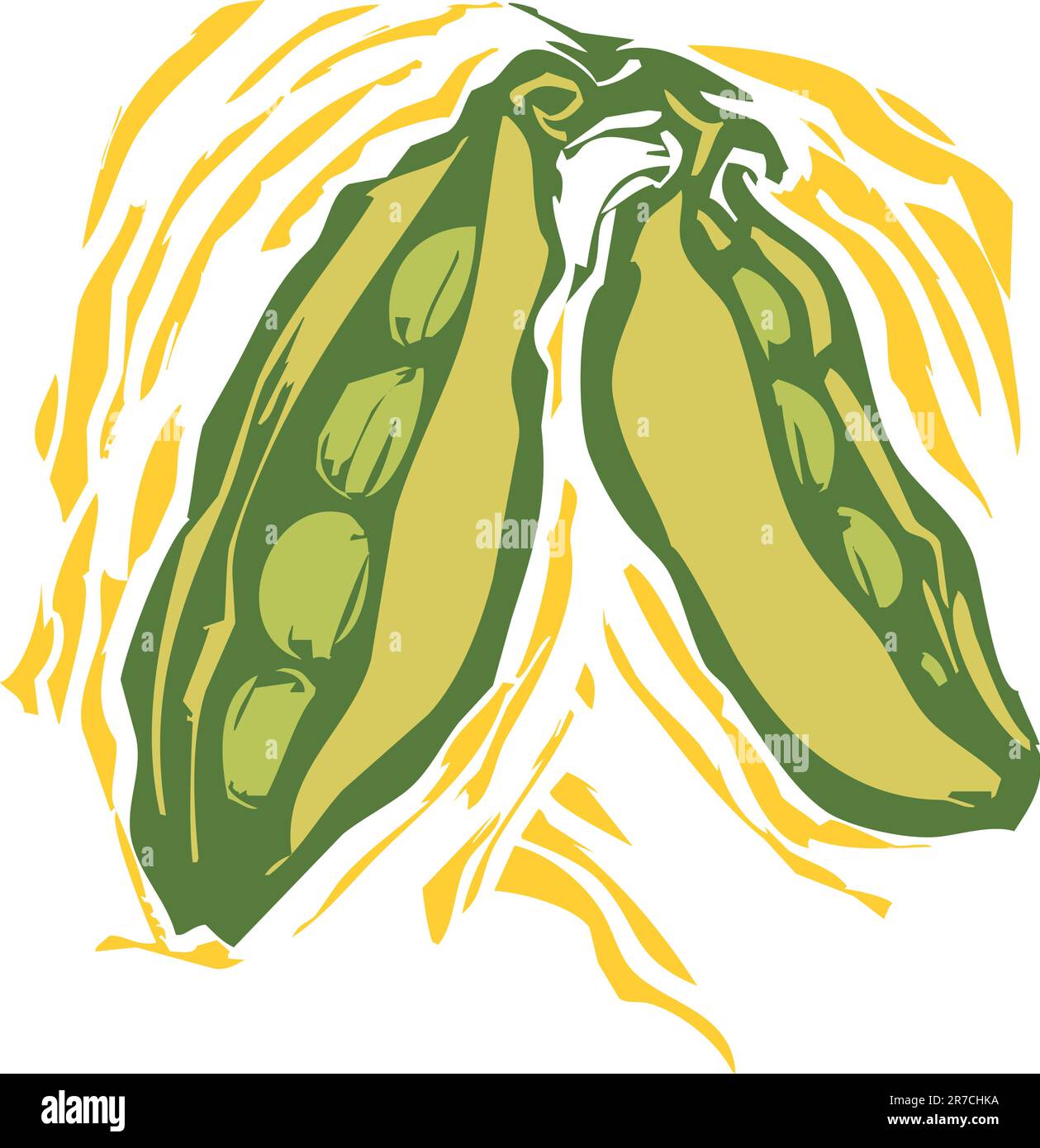 peas in a pod in a woodcut style image of produce Stock Vector Image ...