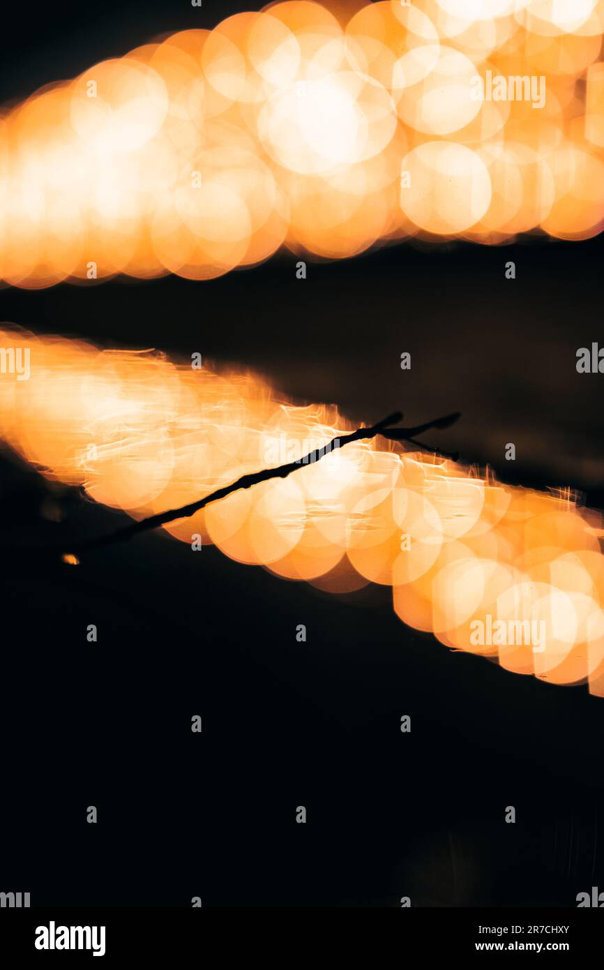 A single twig against a backdrop of bright yellow and dark blurred ...