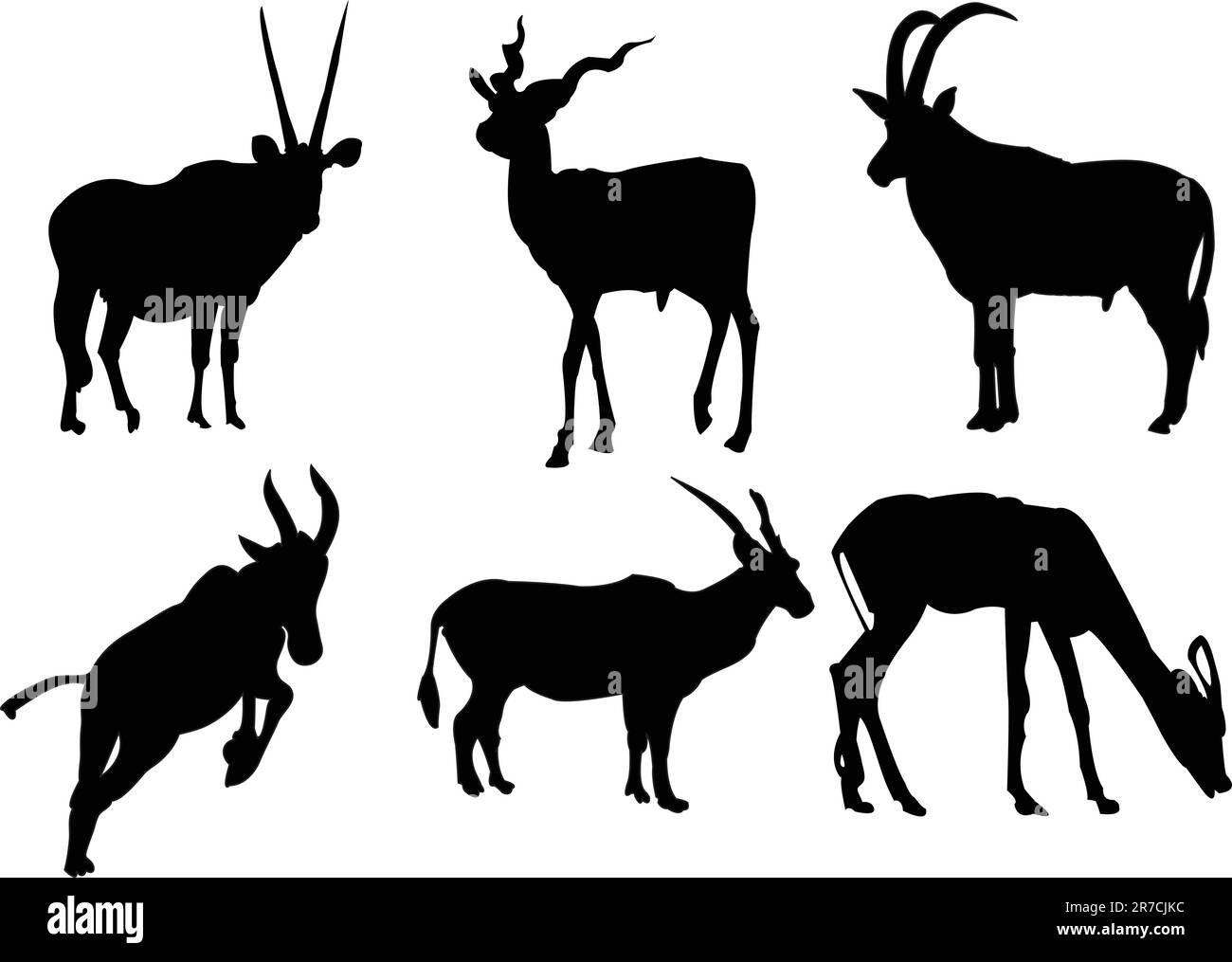 Africa antelopes Black and White Stock Photos & Images - Alamy