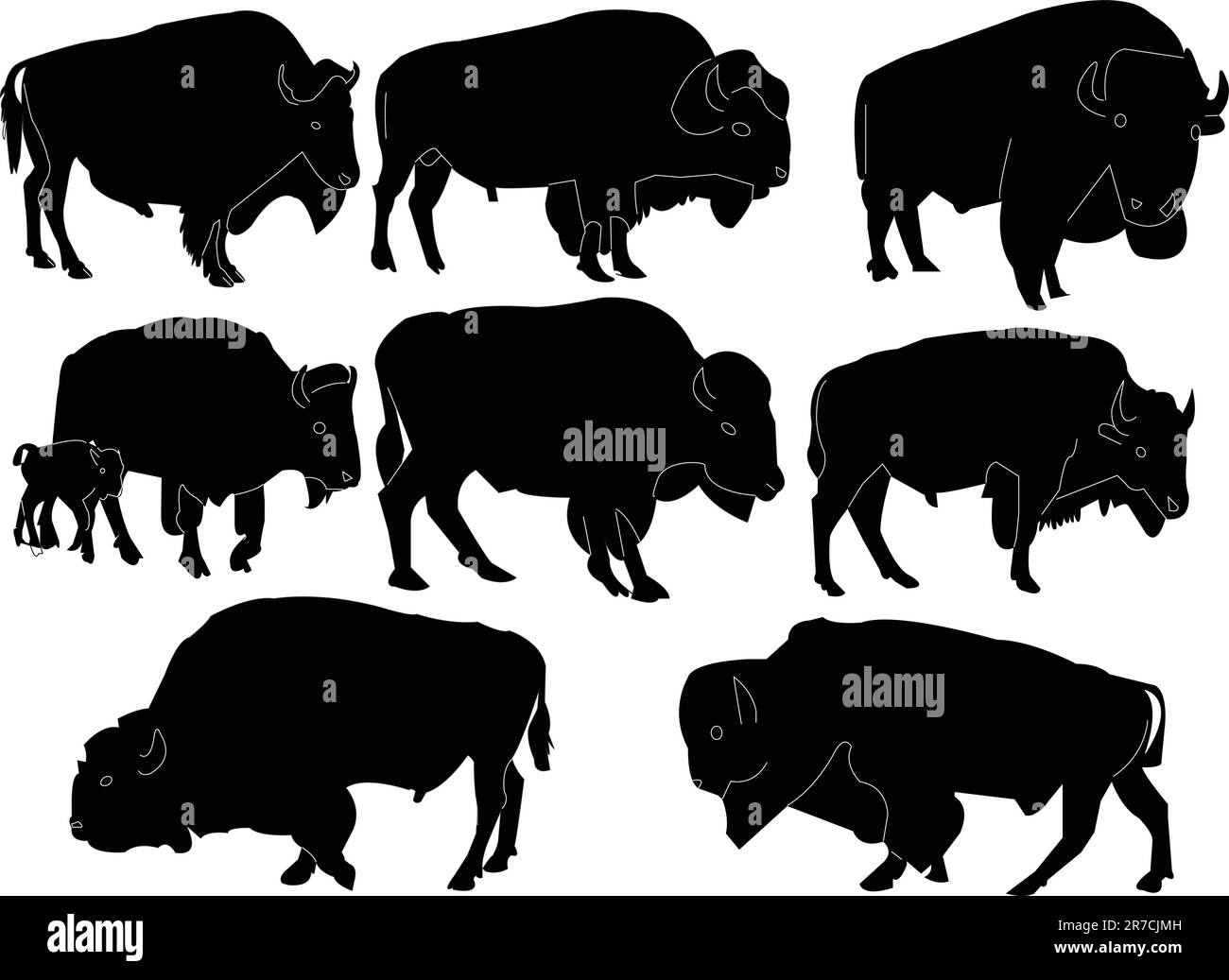 buffalo-bison collection - vector Stock Vector Image & Art - Alamy