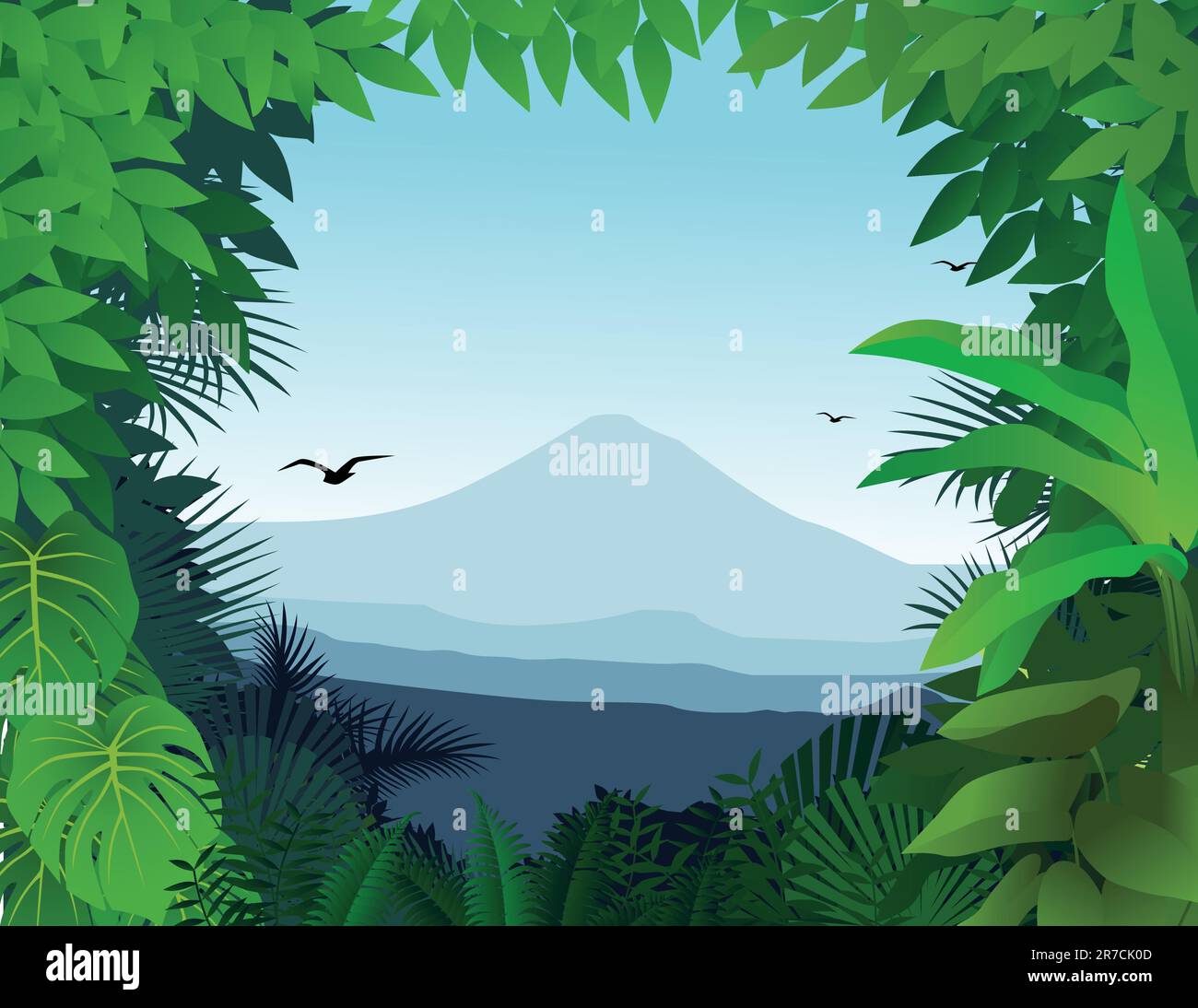 Amazon rainforest bird view Stock Vector Images - Alamy
