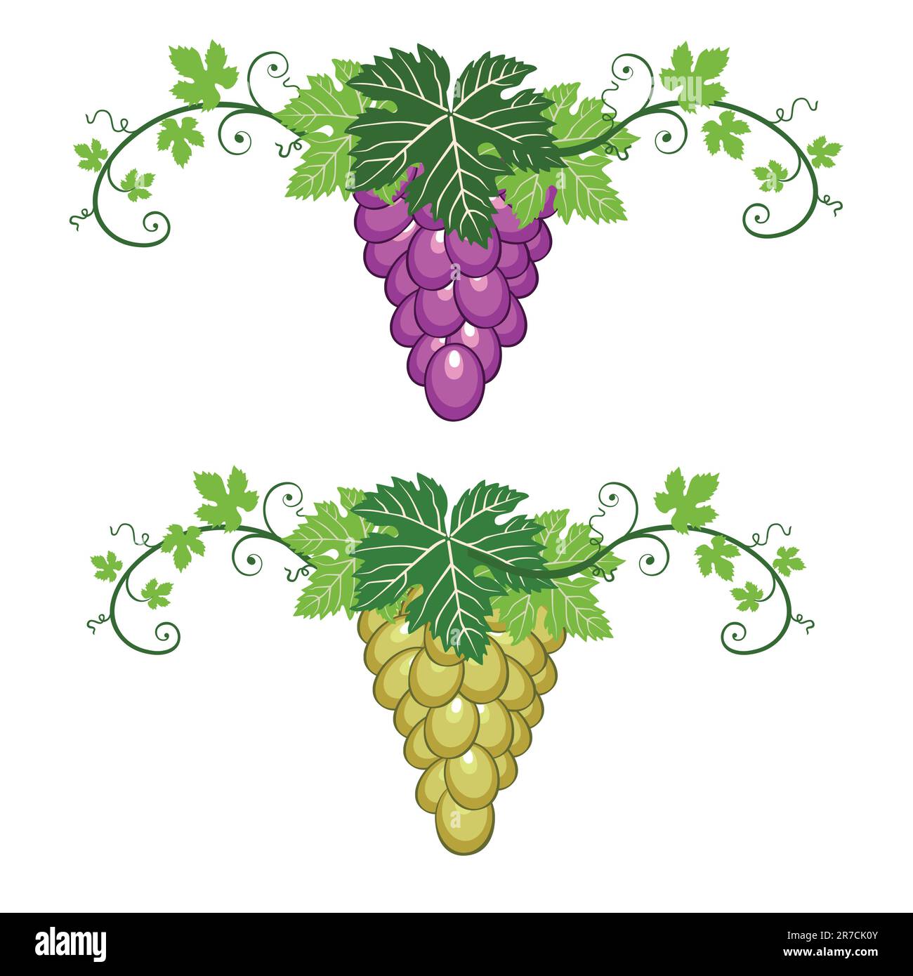 Cluster of leaves Stock Vector Images - Alamy