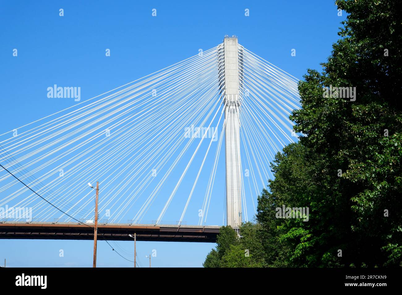 Port Mann bridge Canada over Fraser River in BC interesting unusual ...