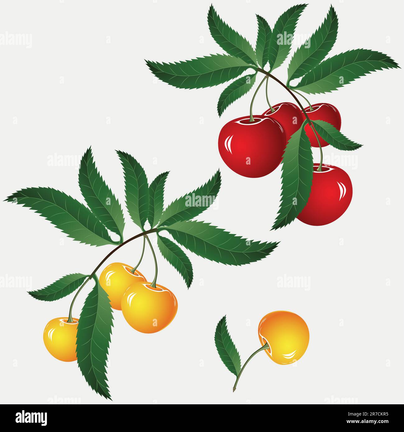 Seamless red cherry background. Vector illustration. Element for design ...