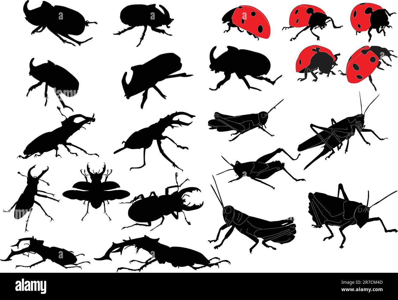insects collection - vector Stock Vector Image & Art - Alamy