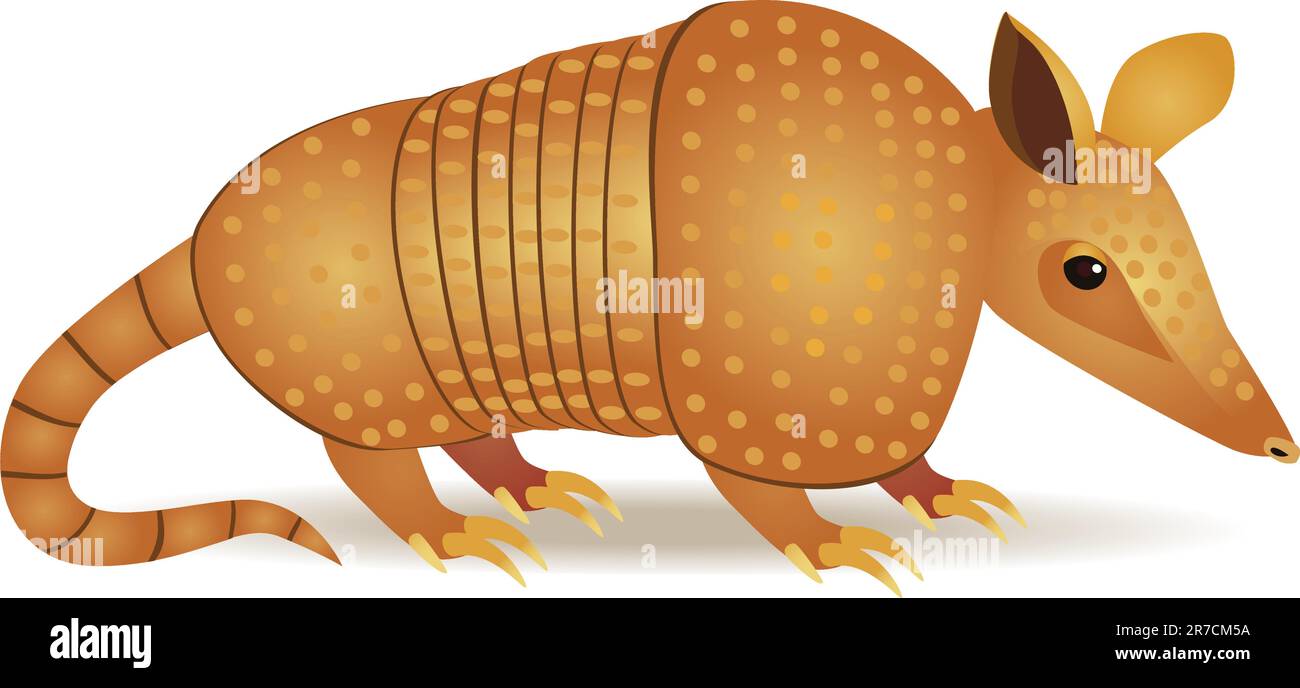 Armadillo cartoon Stock Vector Images - Alamy