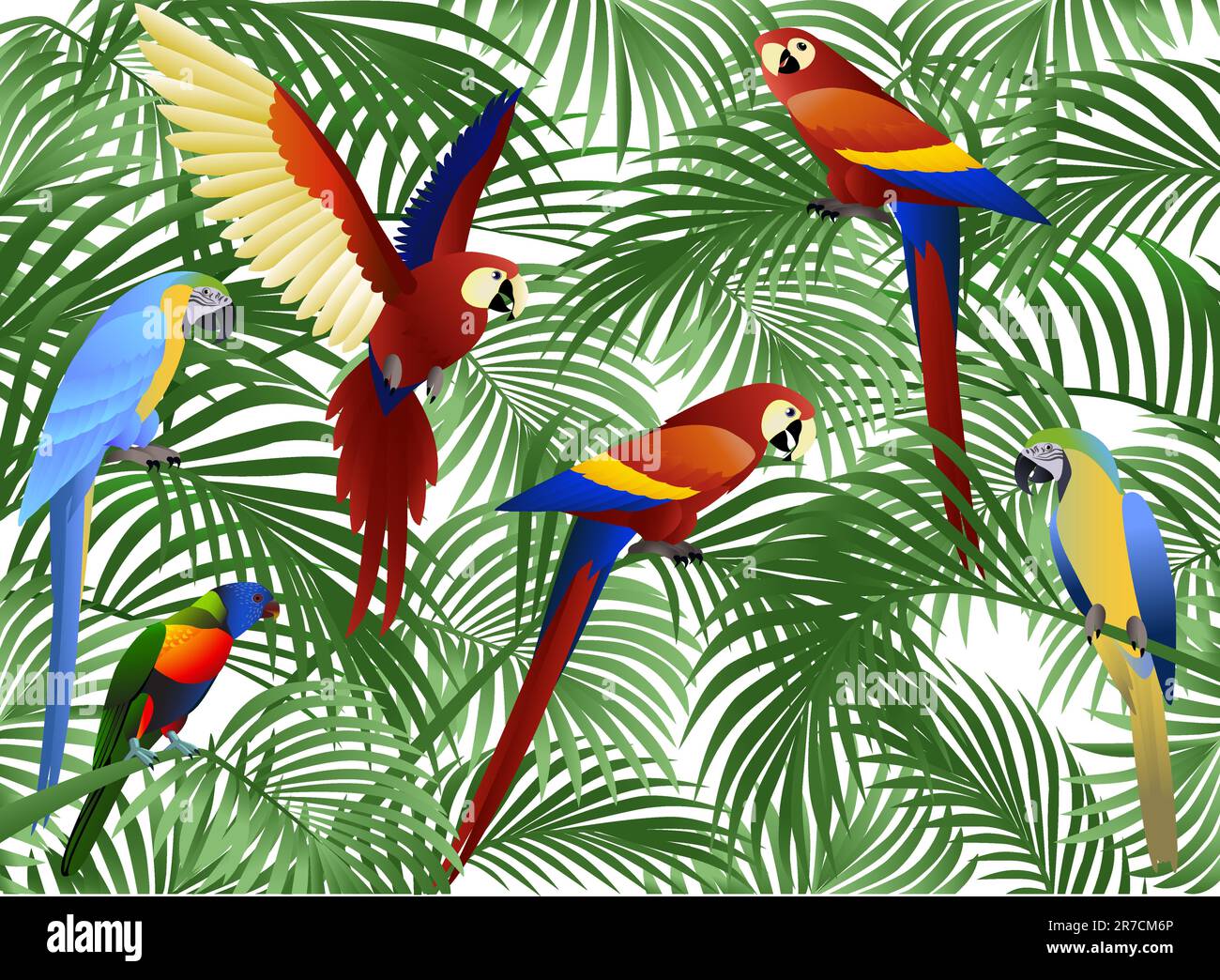 Parrot bird vector Stock Vector Image & Art - Alamy