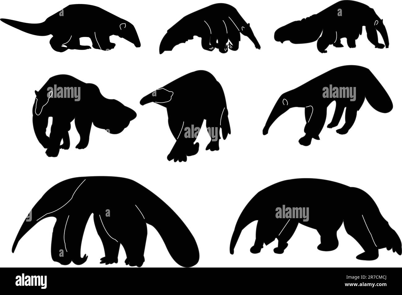 anteaters collection - vector Stock Vector Image & Art - Alamy