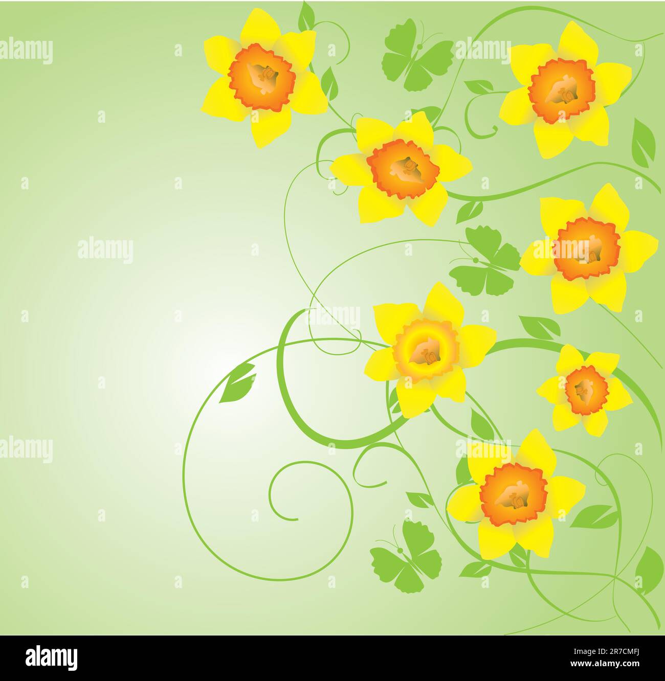 Daffodil detail Stock Vector Images - Alamy