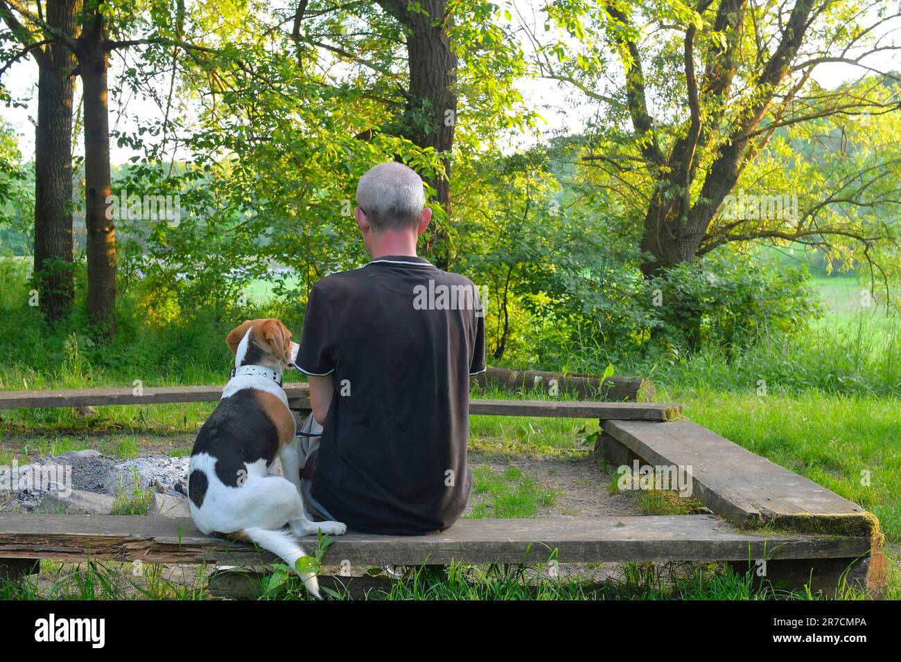 Senior man with his dog sitting on a bench in nature. Concept of ...