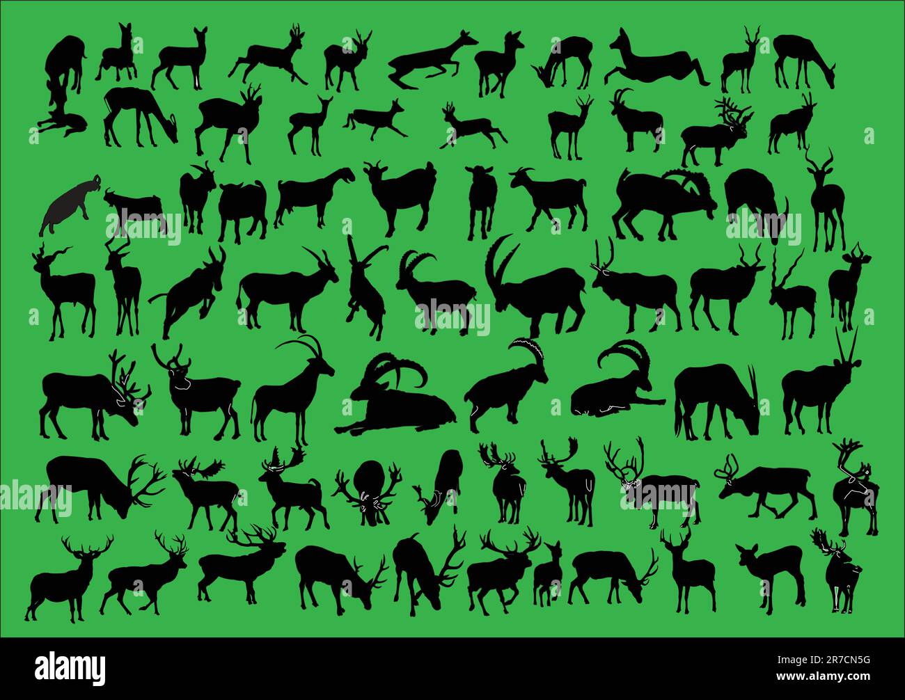 wild animals collection - vector Stock Vector Image & Art - Alamy