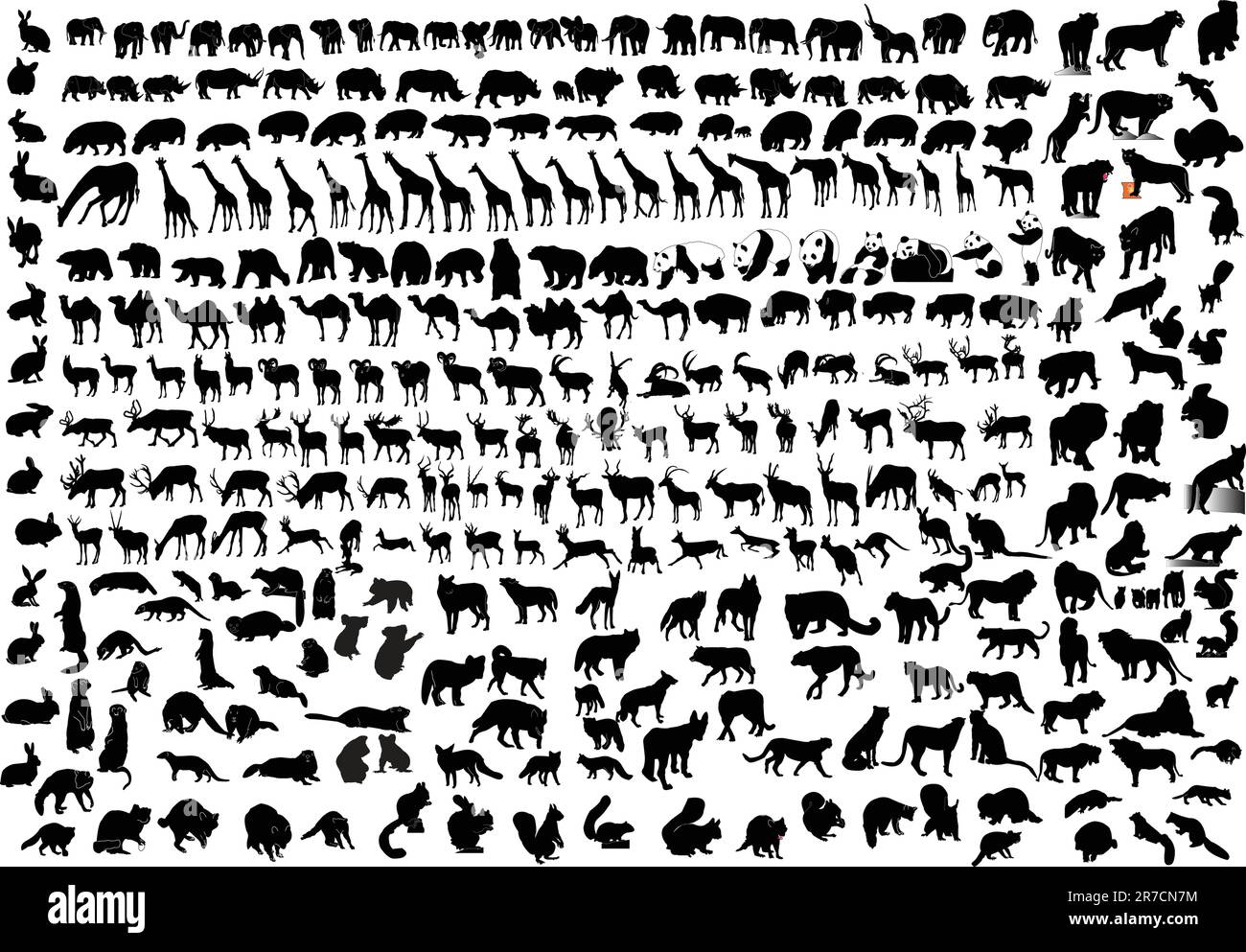 big collection of wild animals - vector Stock Vector Image & Art - Alamy