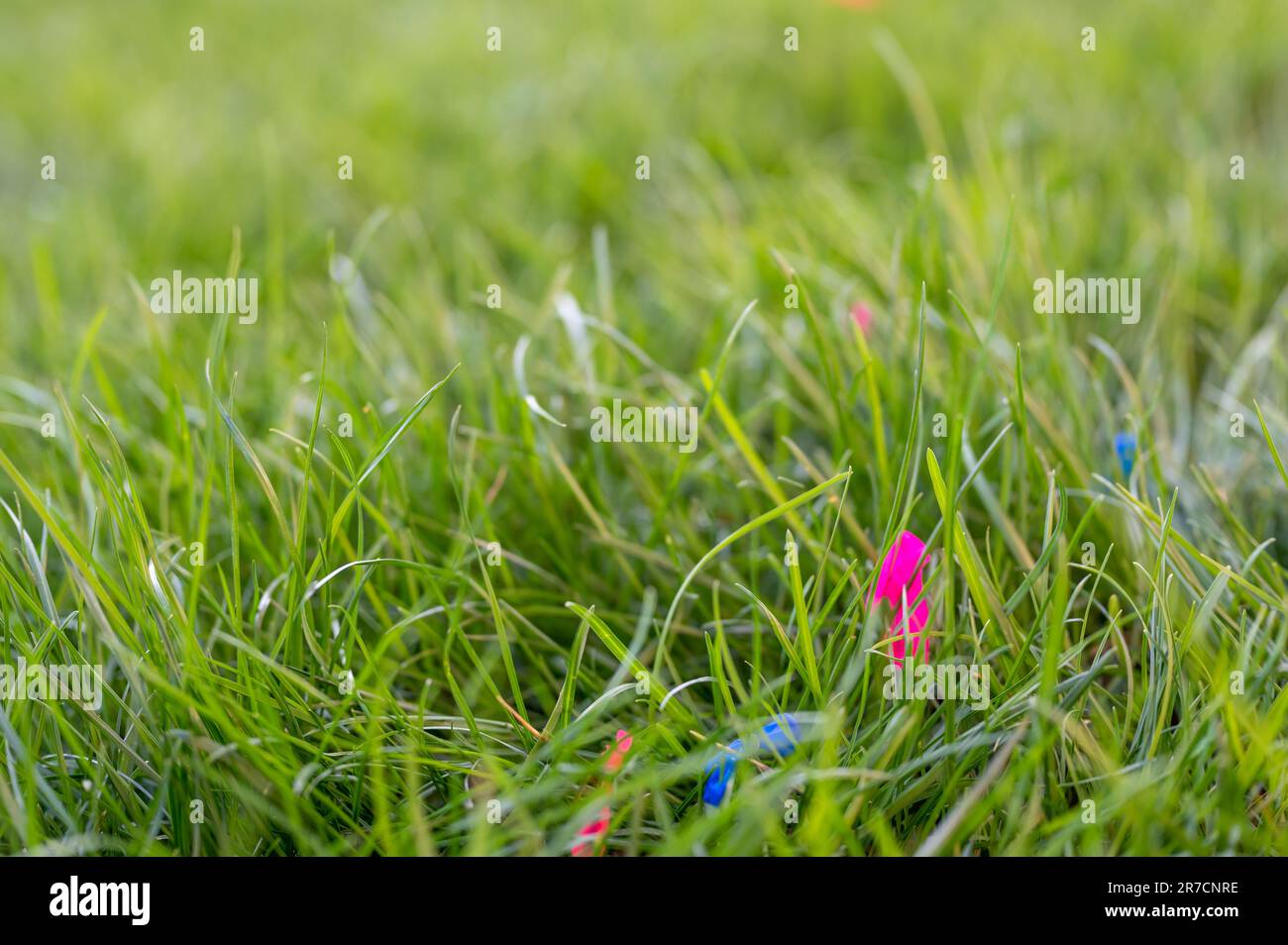 Rubber waste from a used popped water balloon Stock Photo - Alamy