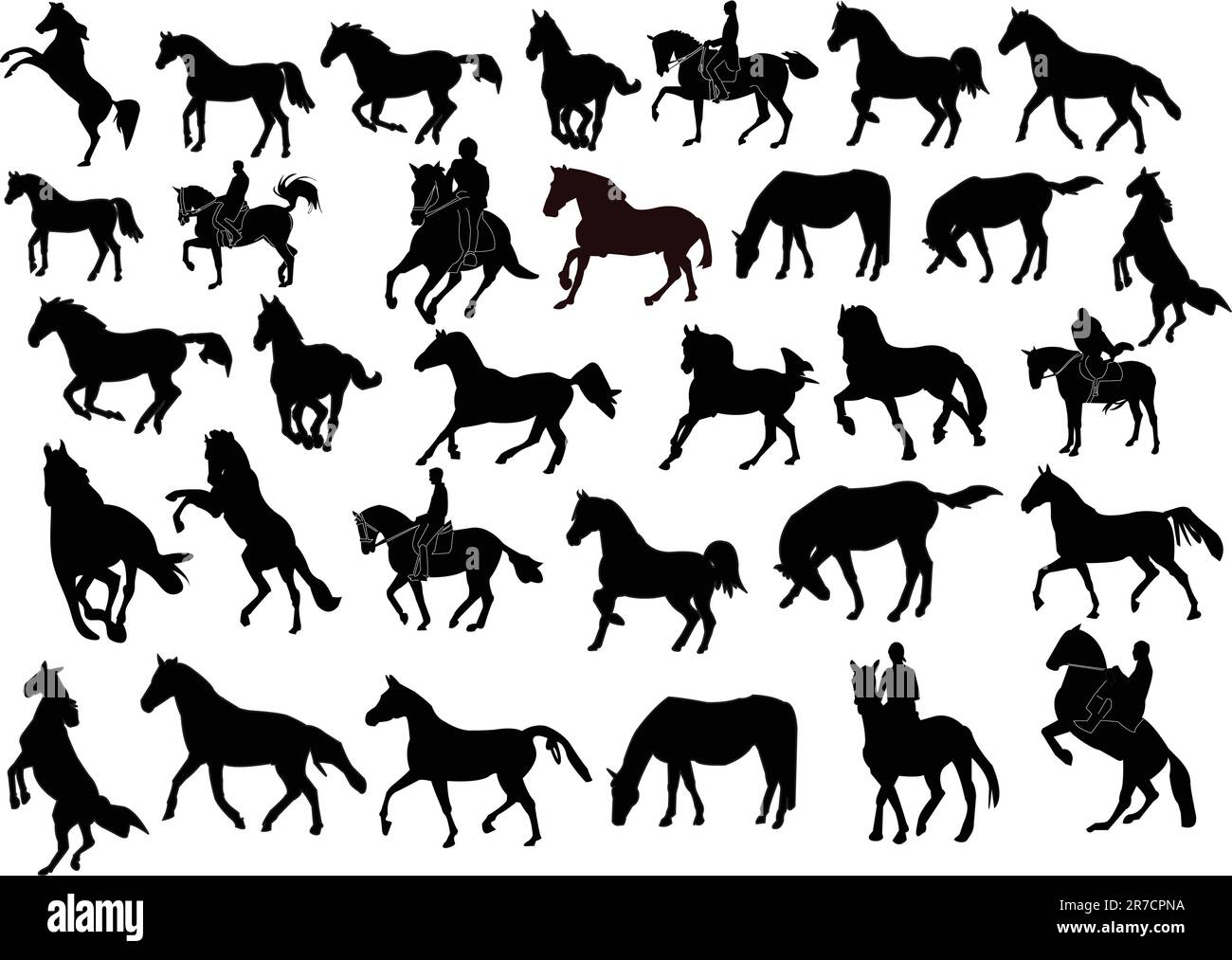 horses collection - vector Stock Vector Image & Art - Alamy