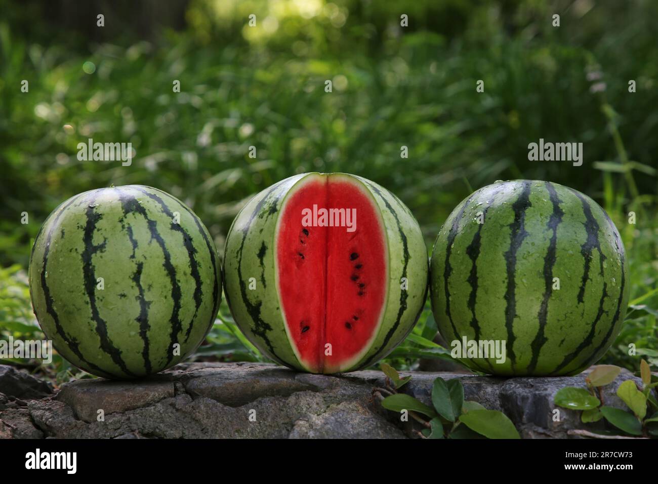 Delicious whole and cut watermelons on stone surface outdoors Stock ...