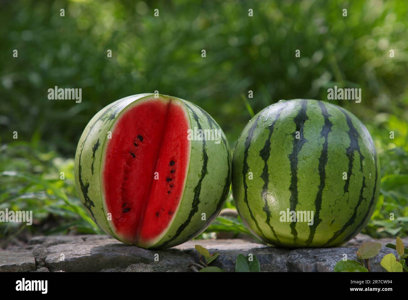 Delicious whole and cut watermelons on stone surface outdoors Stock ...