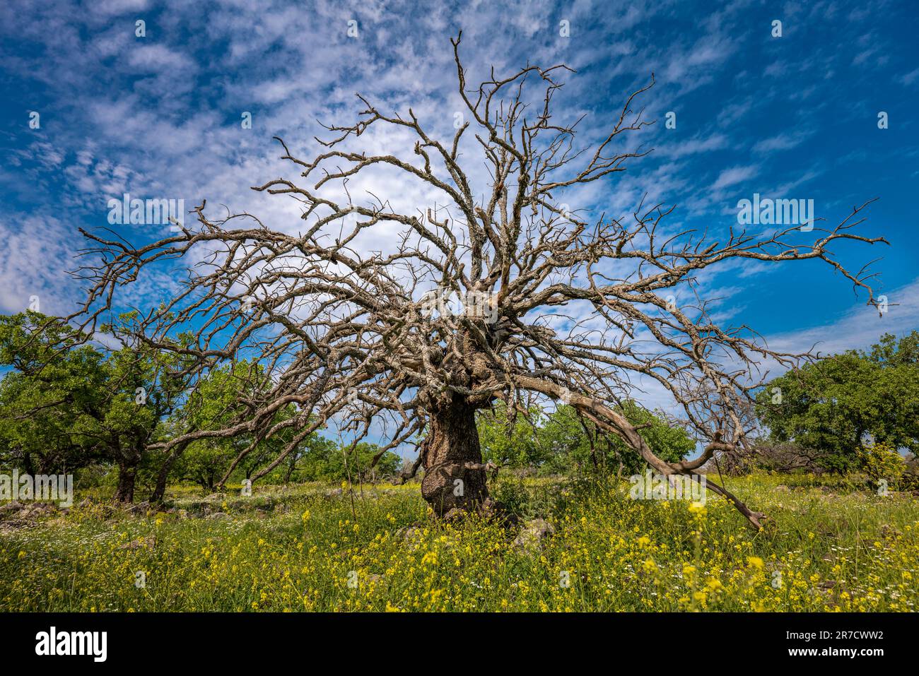 Biblical nature reserve hi-res stock photography and images - Alamy
