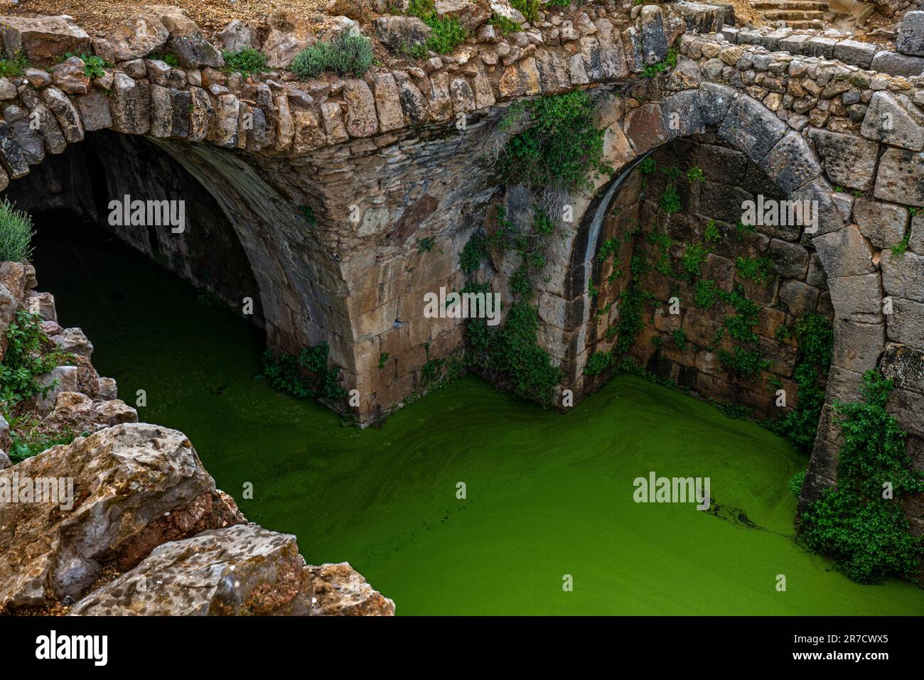 THE LARGE RESERVOIR NIMROD CASTLE (1228-1230) NIMROD FORTRESS NATIONAL ...