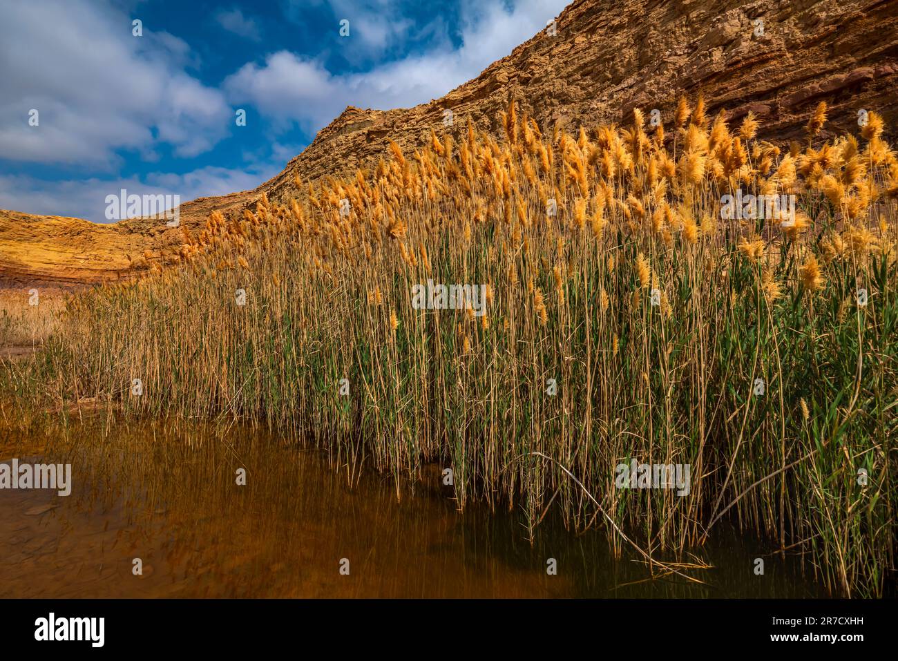 Ramon reserve hi-res stock photography and images - Alamy