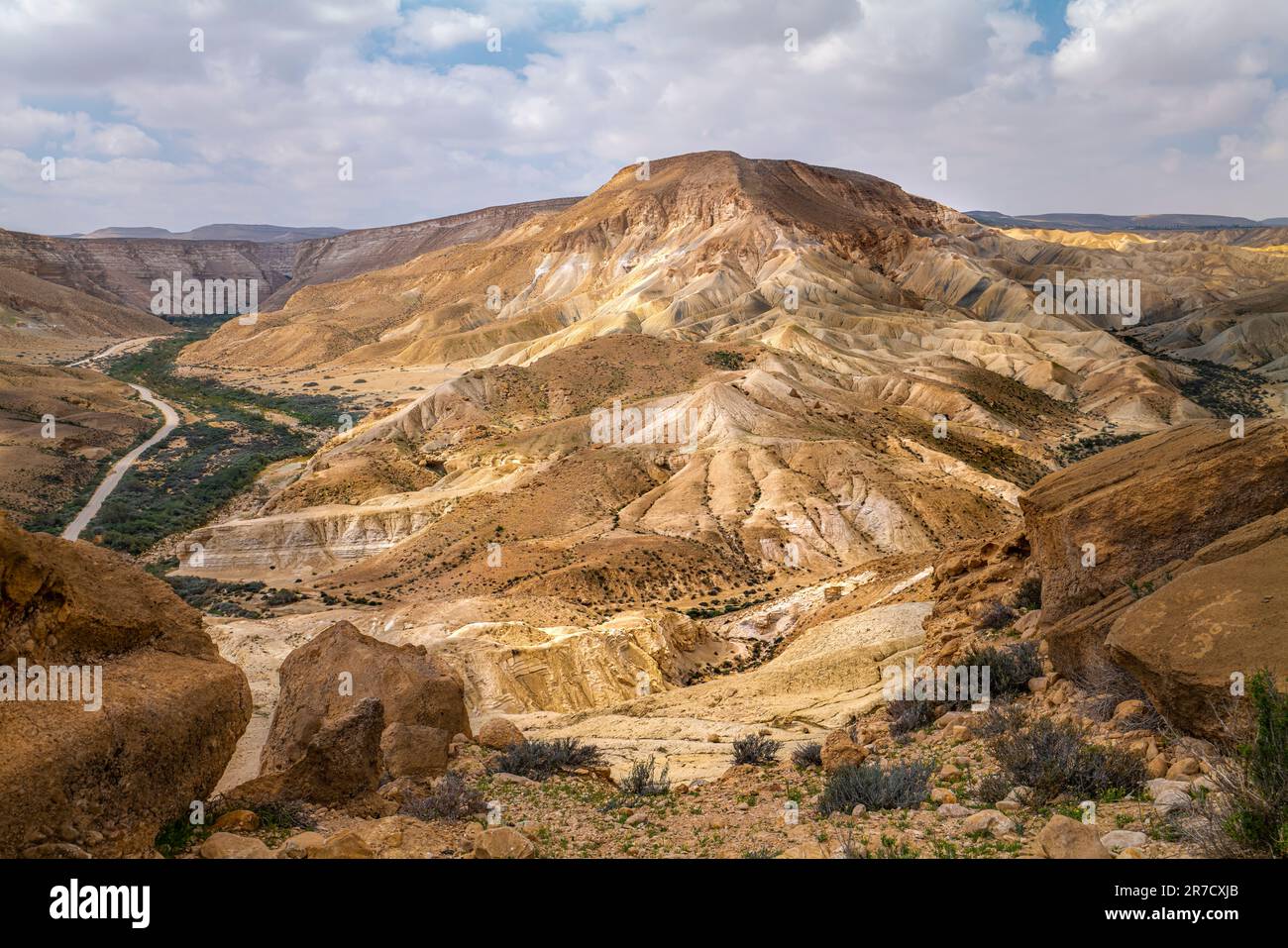 WADI ZIN SDE BOKER KIBBUTZ NEGEV ISRAEL Stock Photo - Alamy